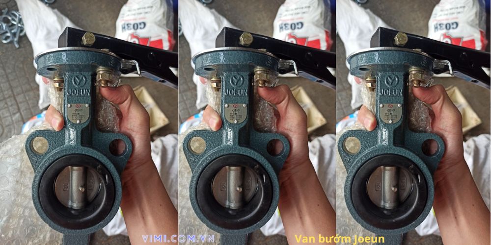 Van bướm Joeun – Vimi