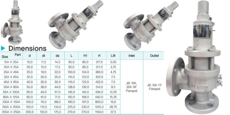 YNV BGSV-2F, BGSV-3F | Balanced Bellows Gas Safety Valve